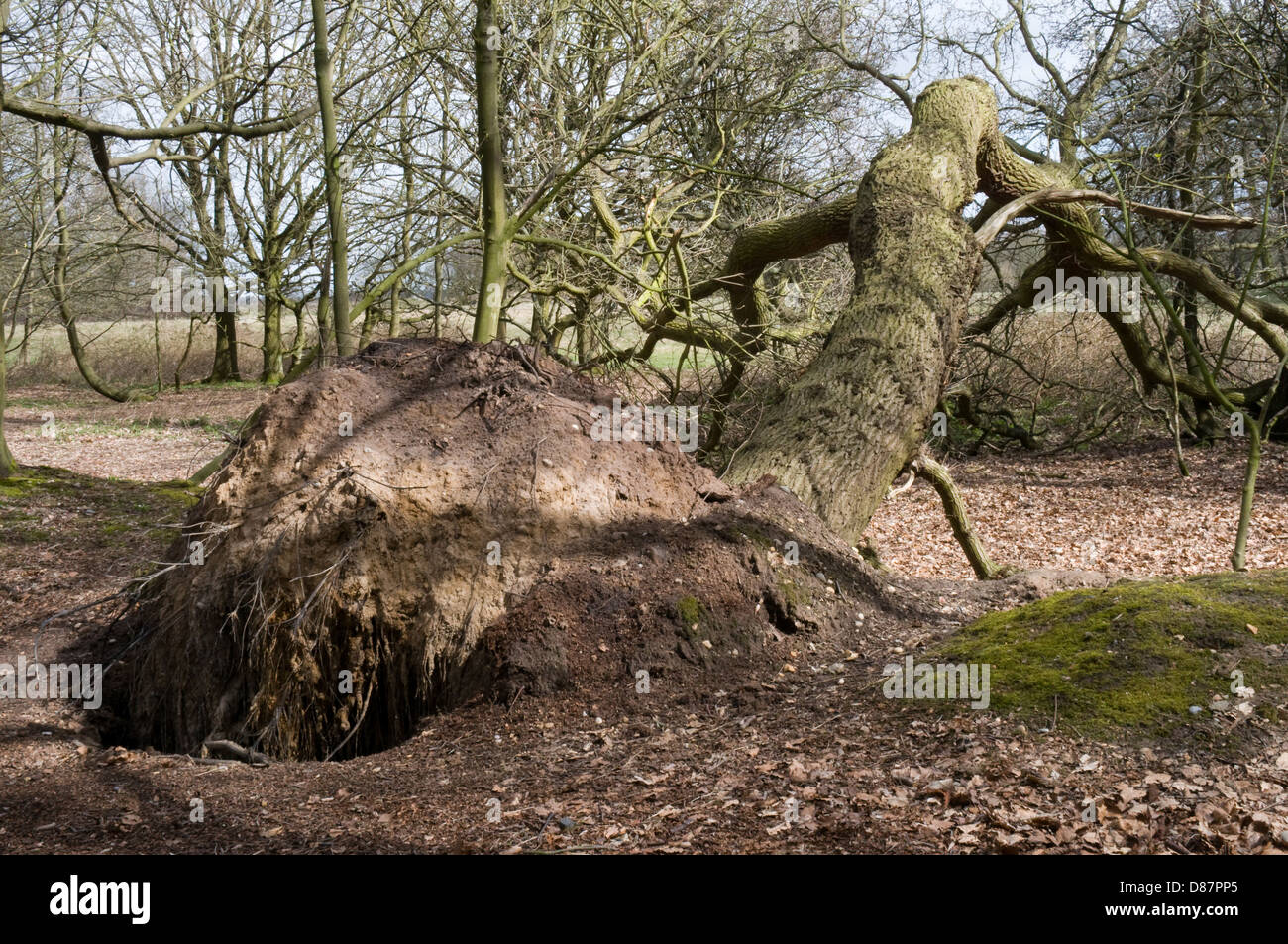 Drag along hi-res stock photography and images - Alamy