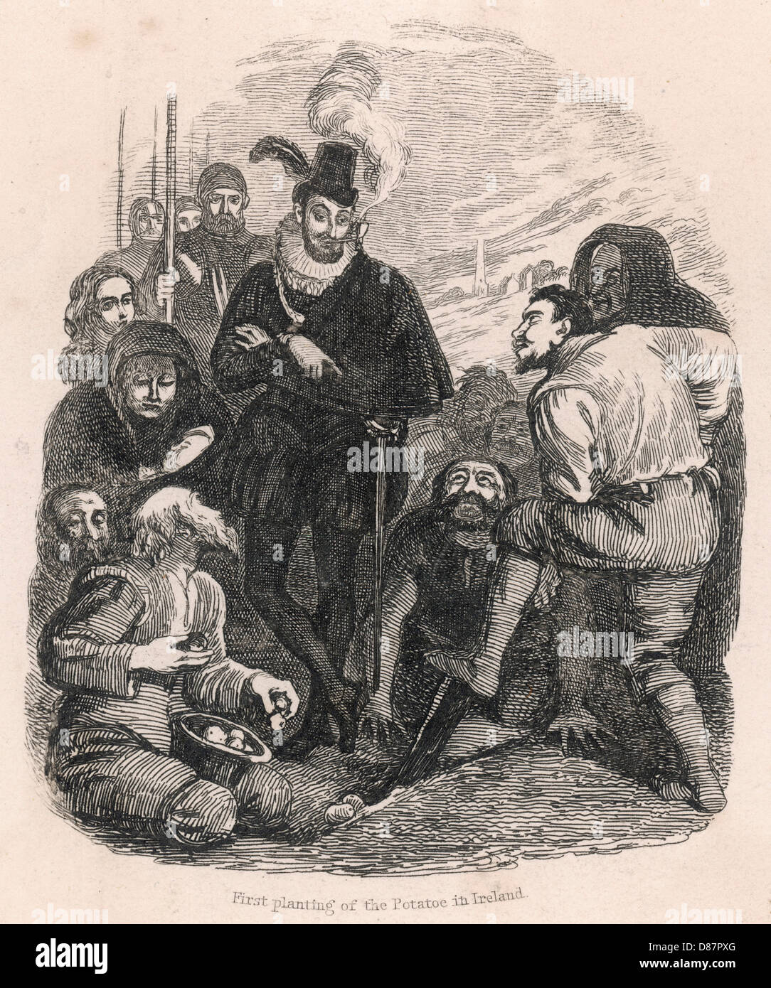 Walter raleigh potato hi-res stock photography and images - Alamy