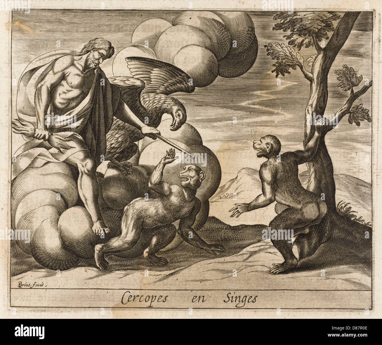 With cercopes hi-res stock photography and images - Alamy