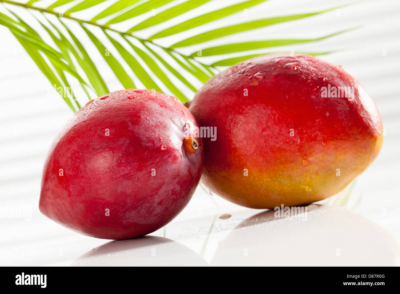Mango with palm leaf on white background, close up Stock Photo - Alamy