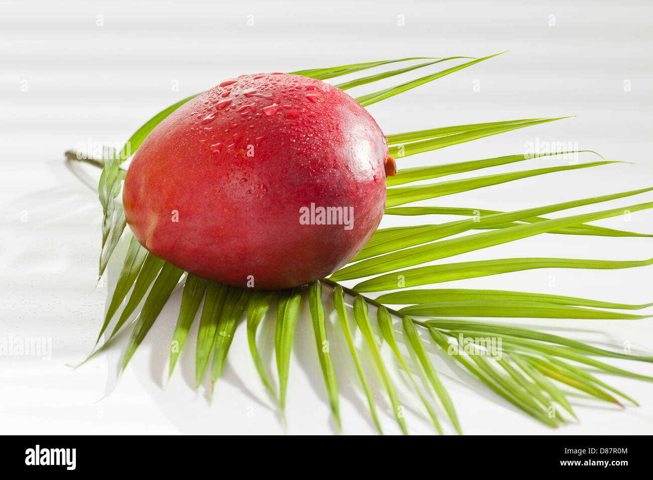 Mango with palm leaf on white background, close up Stock Photo - Alamy