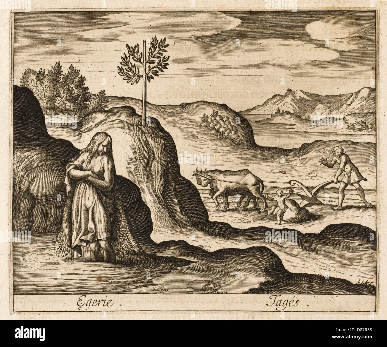 Egeria hi-res stock photography and images - Alamy