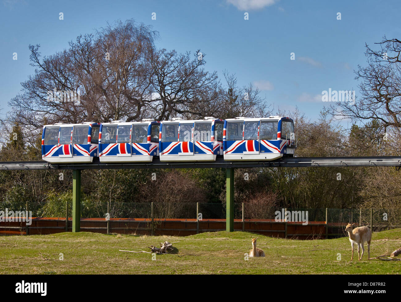 Monorail at Chester Zoo, Chester, Cheshire, England Stock Photo - Alamy