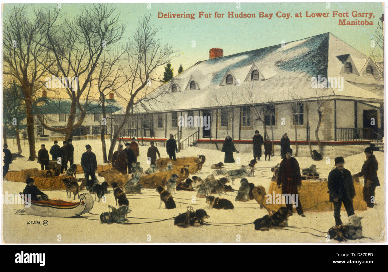 Fur trade canada hi-res stock photography and images - Alamy