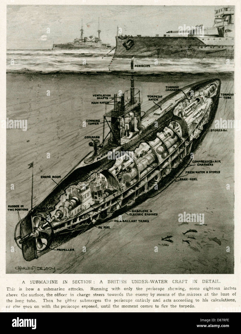 Cross section ship hi-res stock photography and images - Alamy