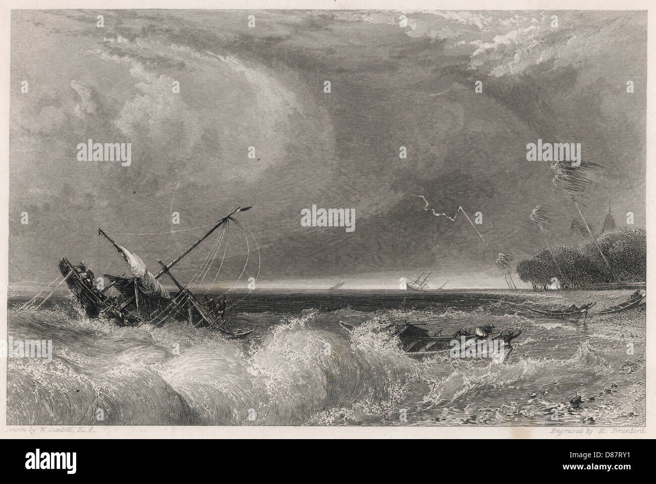 Native bore hi-res stock photography and images - Alamy