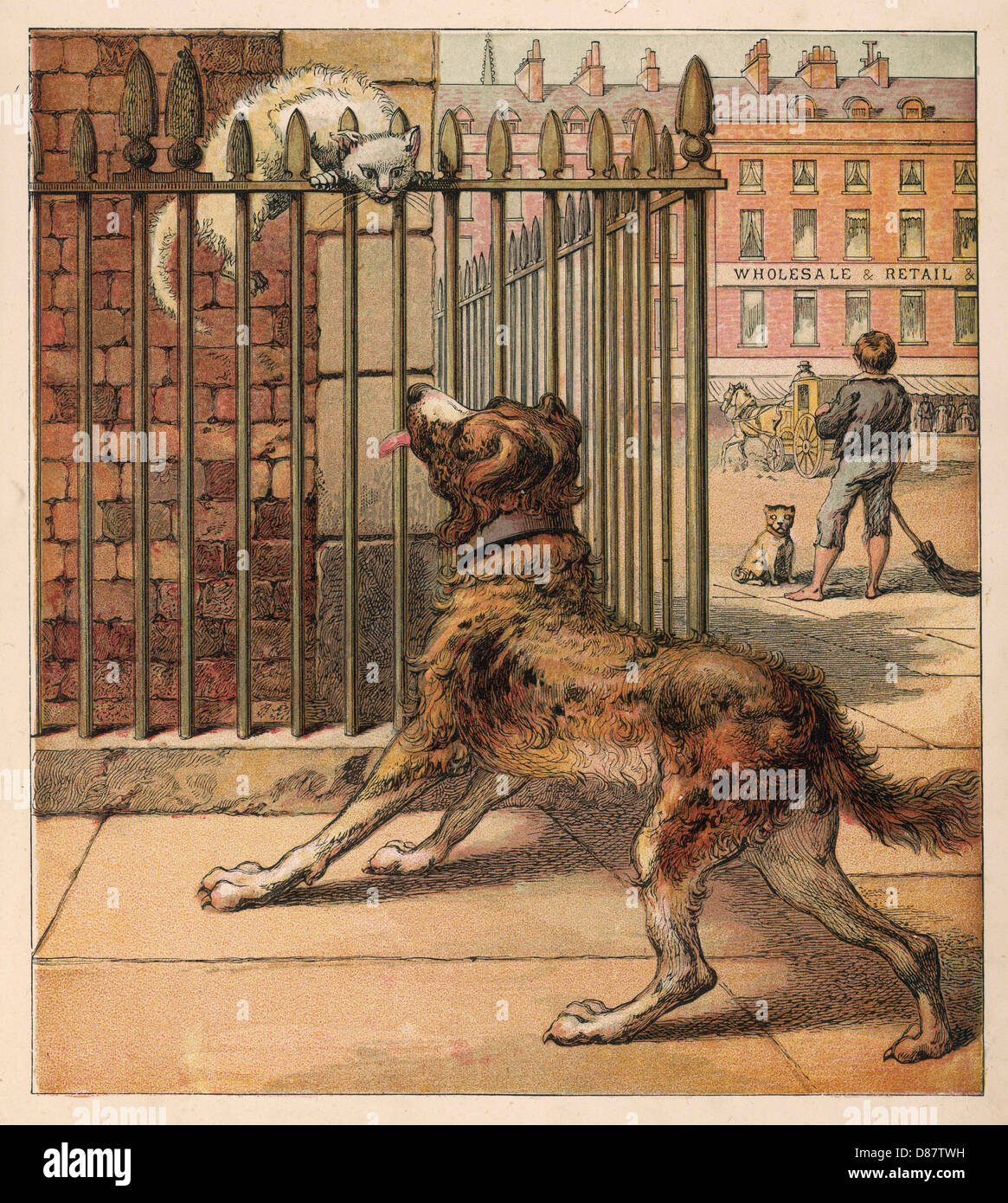 DOG SCARING CAT Stock Photo - Alamy