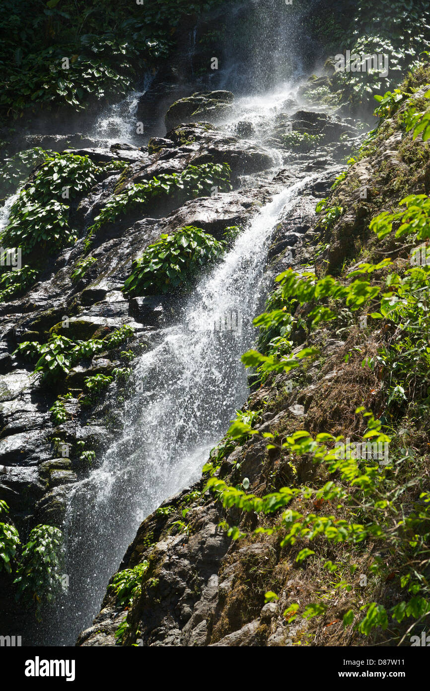 The Tamaraw Waterfalls in Oriental Mindoro, Philippines Stock Photo - Alamy