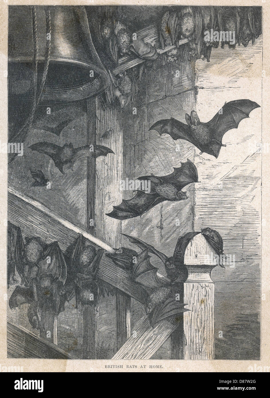 19th century belfry hi-res stock photography and images - Alamy