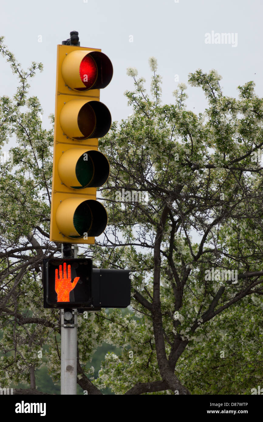 Traffic signal in downtown Montague, MI Stock Photo - Alamy