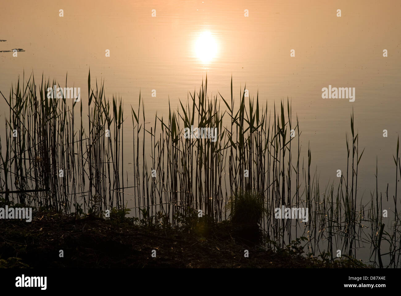 Lough Erne At Sunset, County Fermanagh, Northern Ireland Stock Photo ...