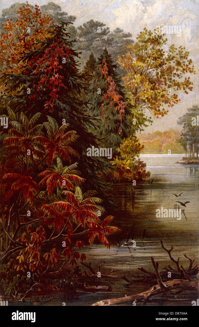 FALL ON LAKE ERIE Stock Photo - Alamy