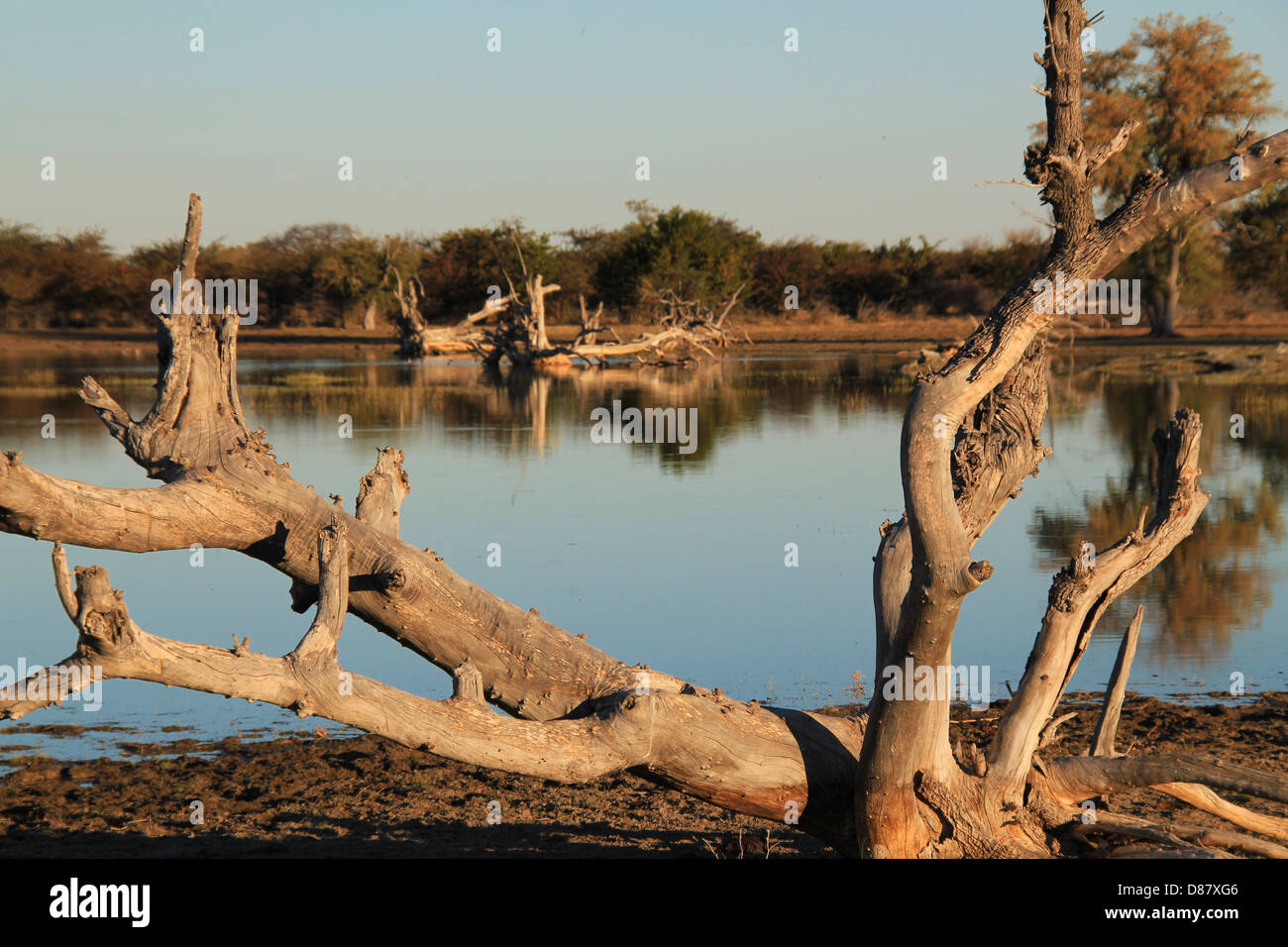 Botswanian hi-res stock photography and images - Alamy