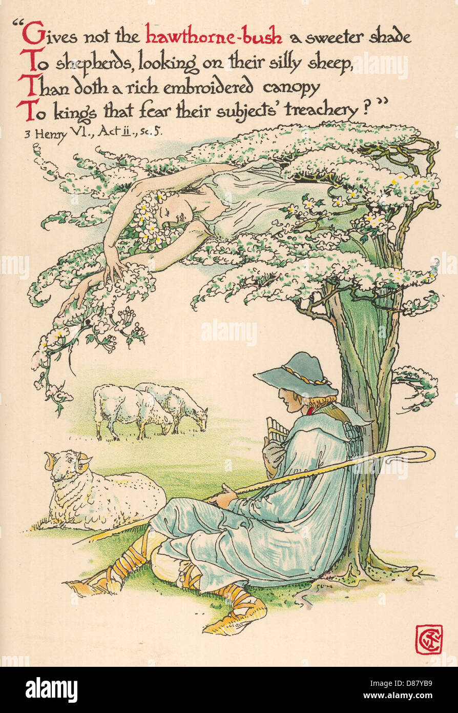 Hawthorn crataegus oxyacantha hi-res stock photography and images - Alamy