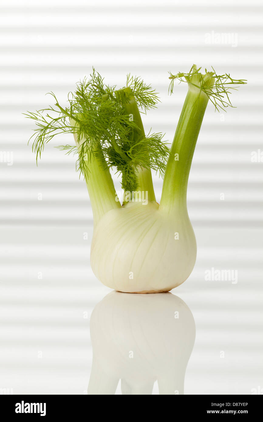 Fresh fennel, close up Stock Photo - Alamy