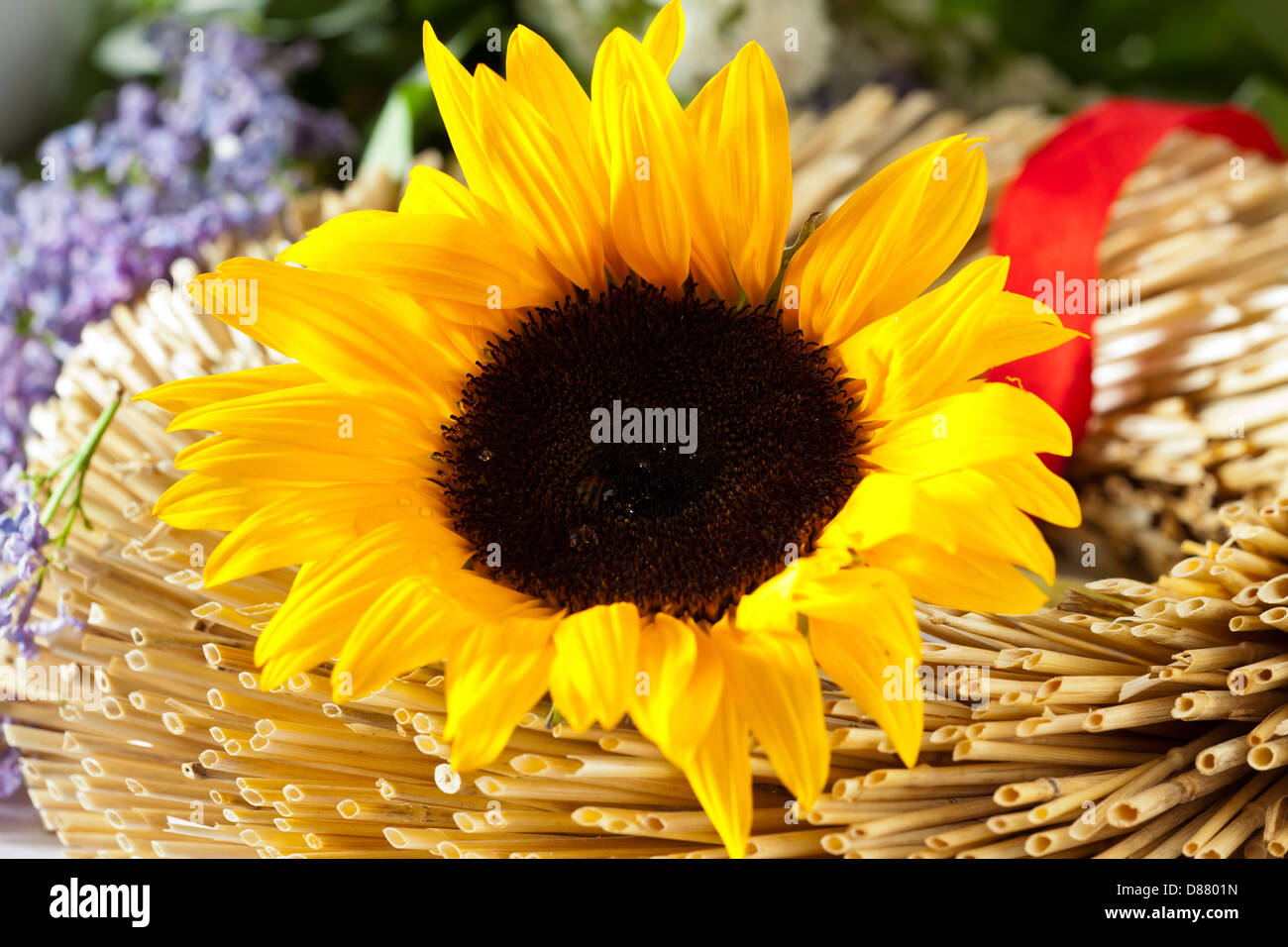 Sunflower lying on a wreath of straw Stock Photo - Alamy