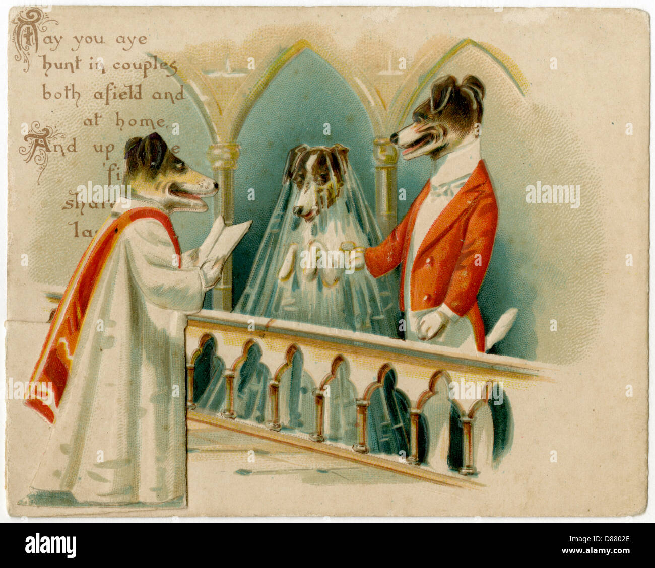 DOGS GET MARRIED Stock Photo - Alamy