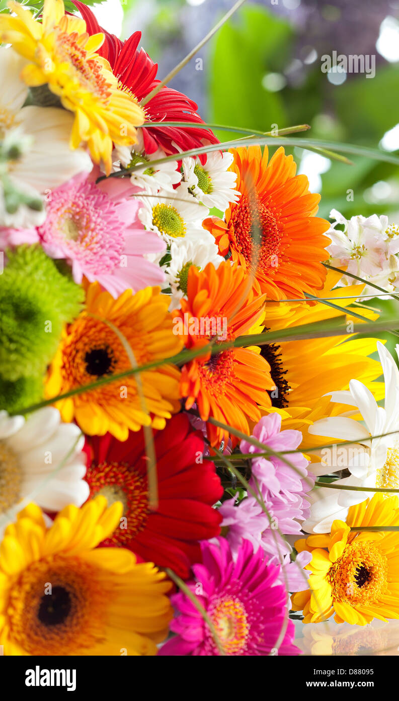 A colorful Spring bouquet with many different flowers Stock Photo - Alamy