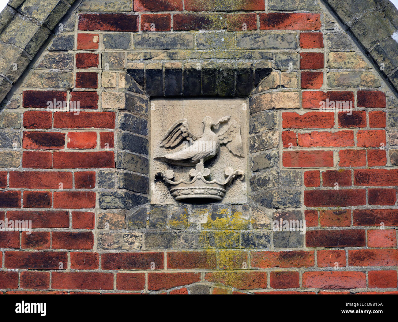 Dove With Olive Branch Stock Photos & Dove With Olive Branch Stock ...