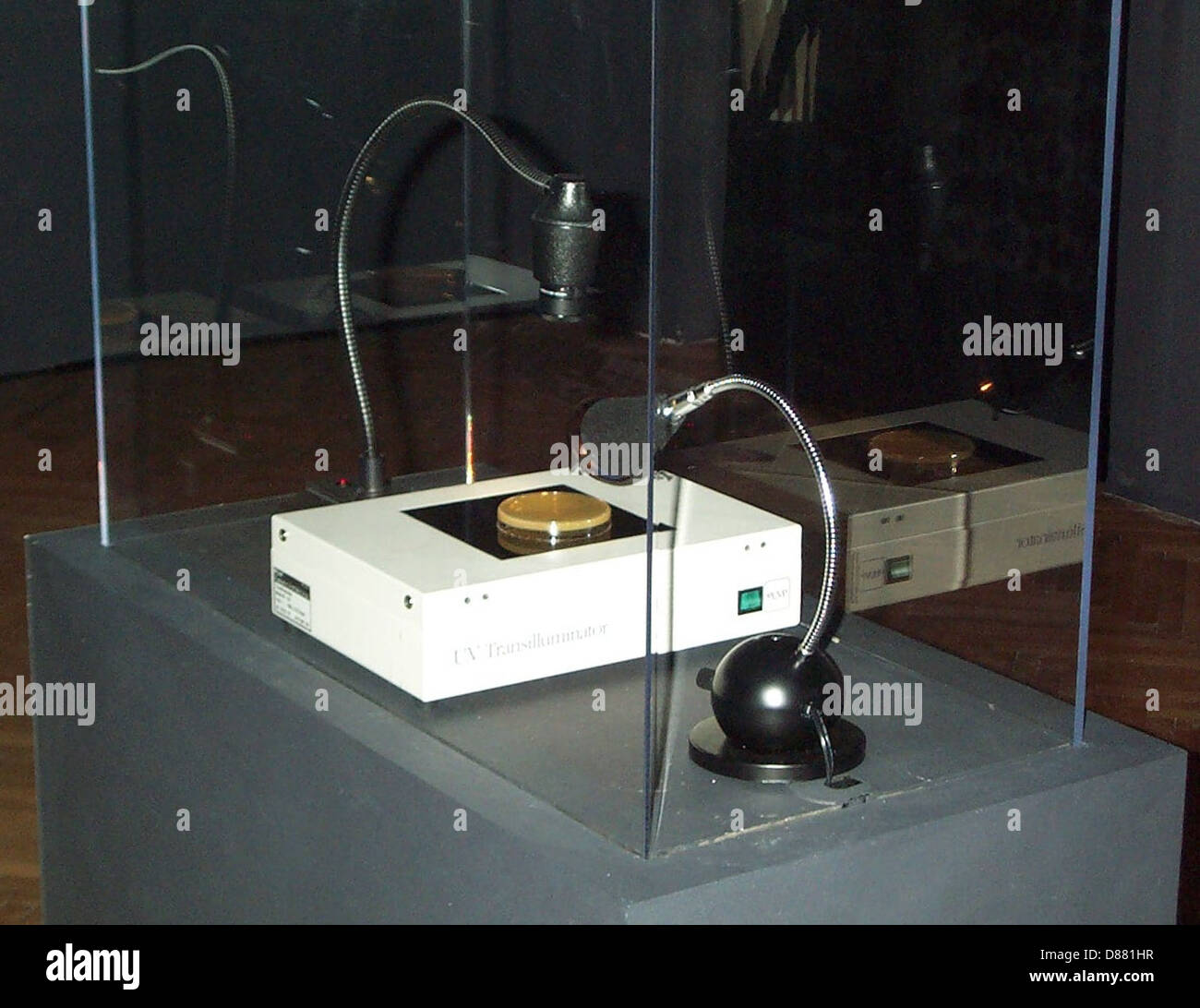 Eduardo Kac - Genesis - Ars Electronica 99 Stock Photo - Alamy