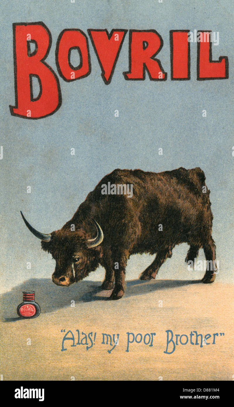 Bull crying hi-res stock photography and images - Alamy