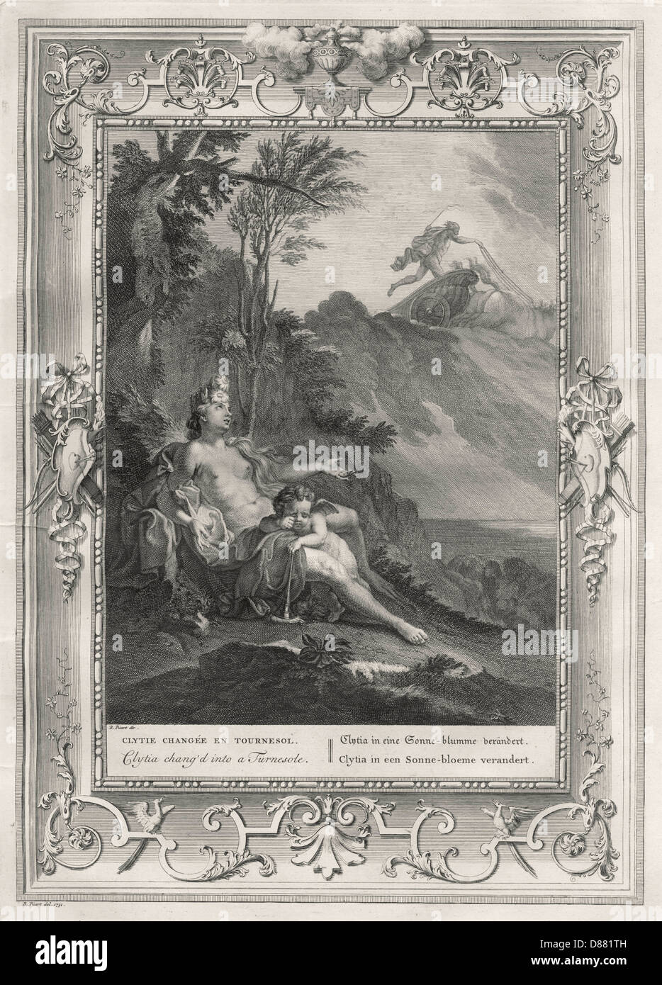 Clytie a Sunflower Stock Photo - Alamy