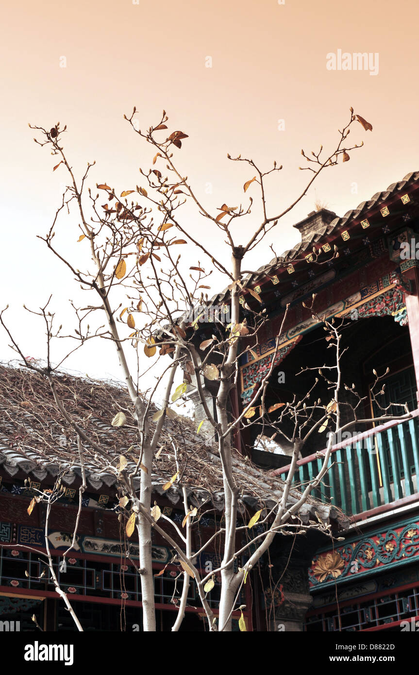 Old Chinese Balcony with a tree Stock Photo - Alamy