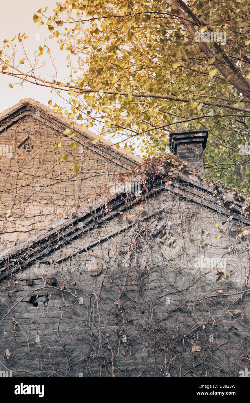Chinese roofs hi-res stock photography and images - Alamy