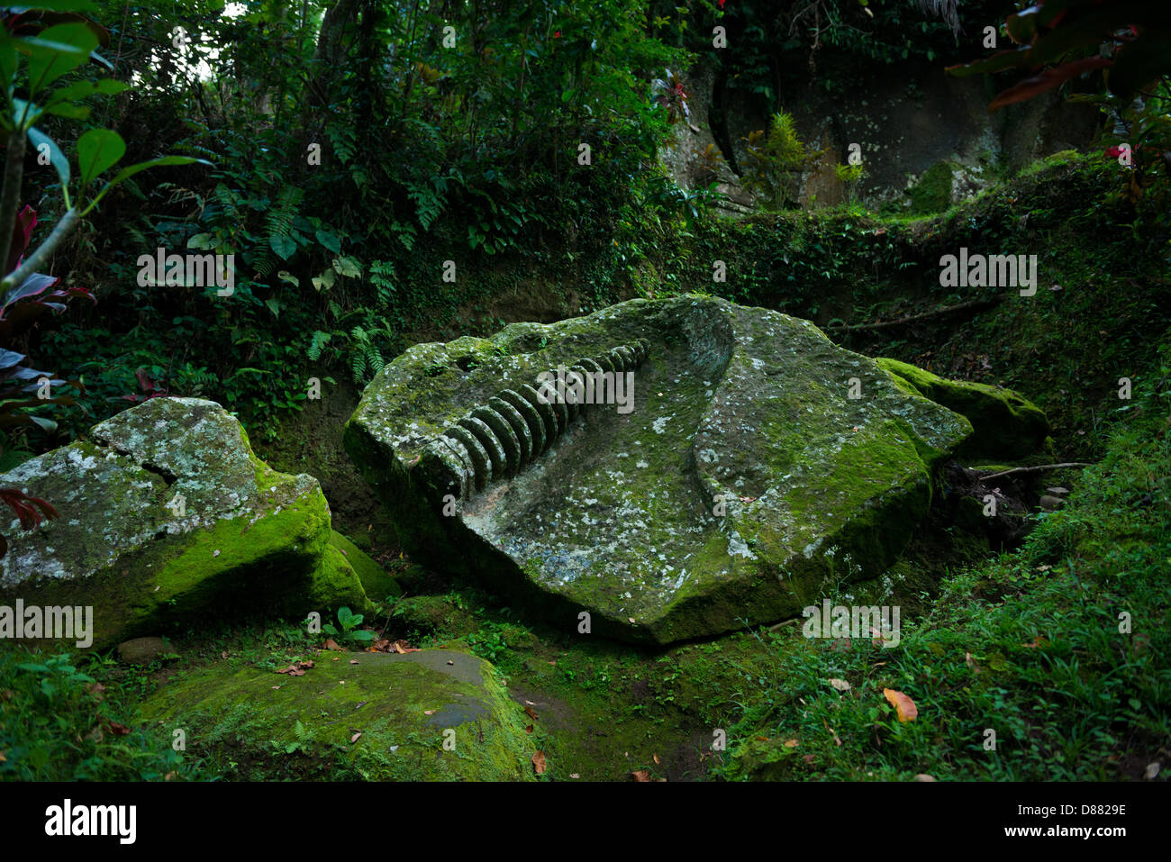 Ancient temple ruins covered with lush green moss Stock Photo - Alamy