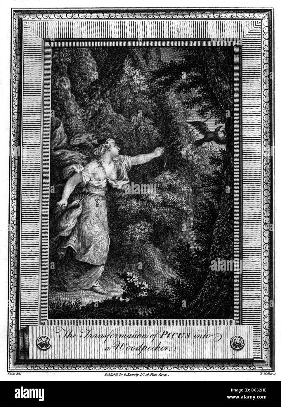 Picus hi-res stock photography and images - Alamy