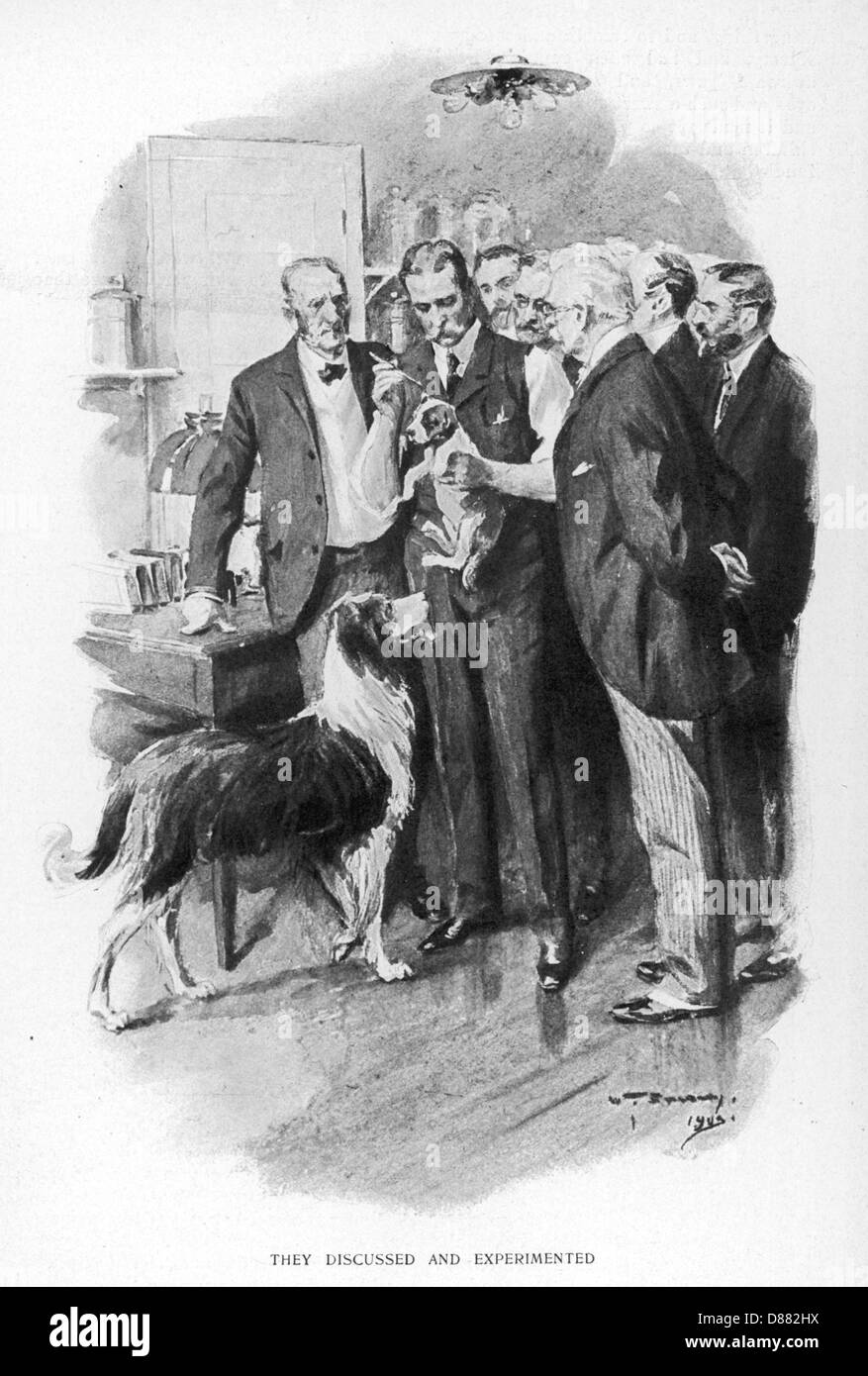 Vivisection Historical High Resolution Stock Photography and Images - Alamy