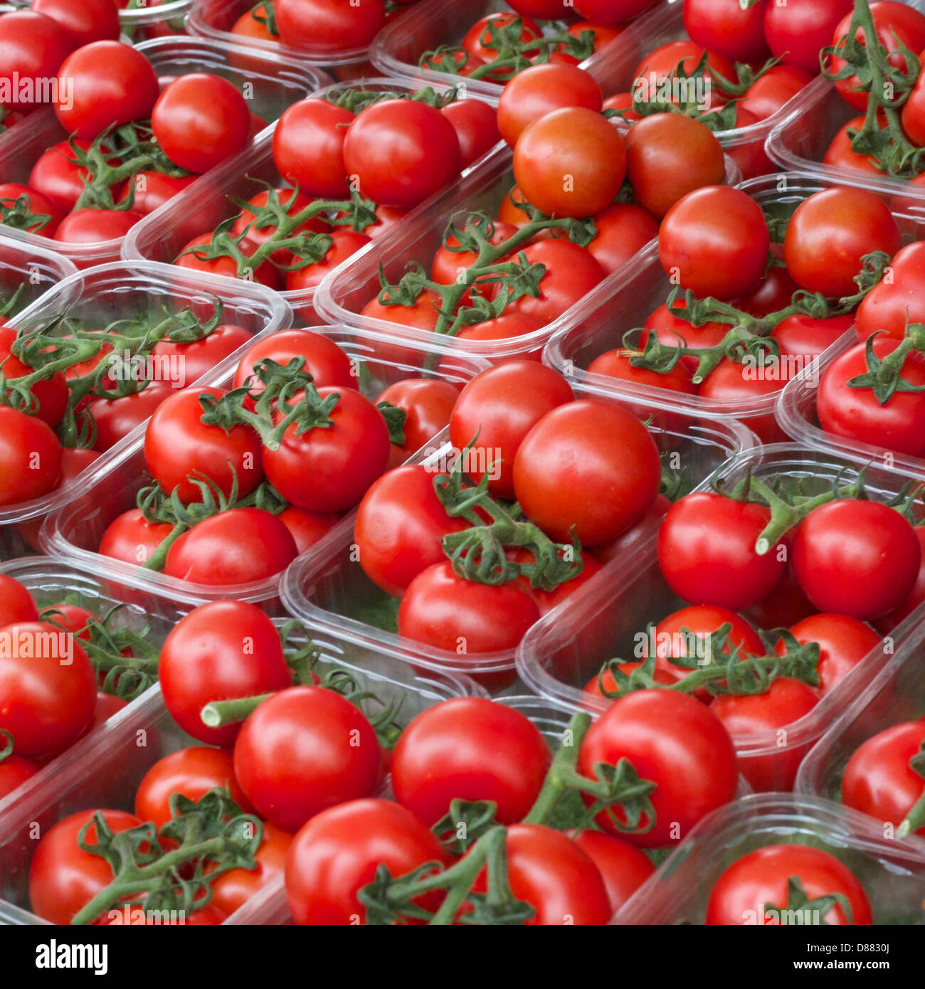 tomatoes in punnets Stock Photo - Alamy