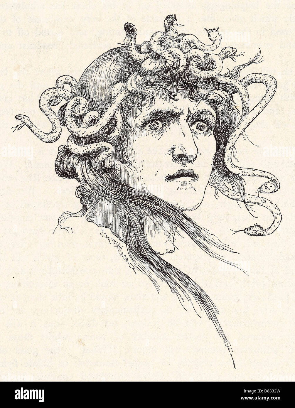 Medusa face hi-res stock photography and images - Alamy