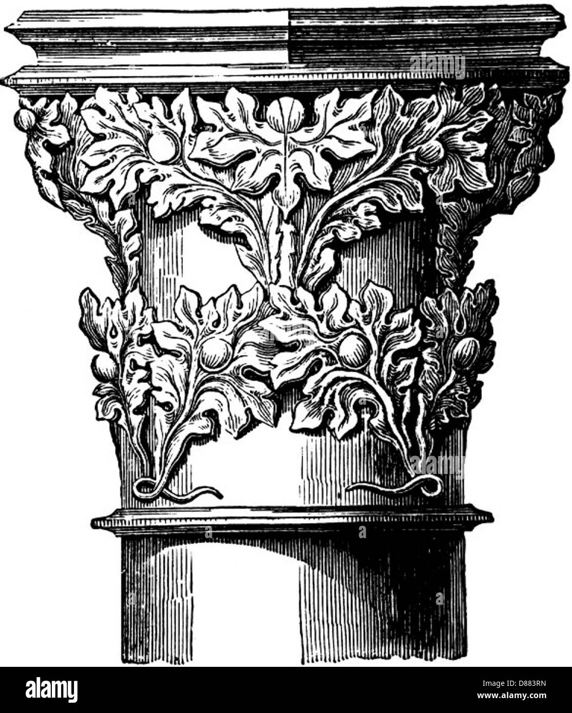 Gothic capital - 1889 drawing Stock Photo - Alamy