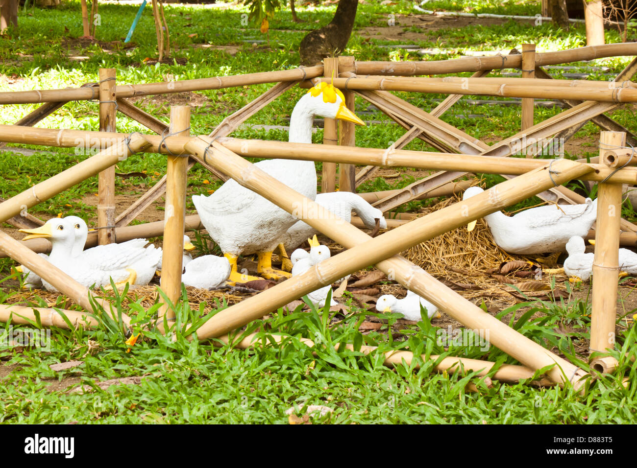 Imitate wildlife hi-res stock photography and images - Alamy