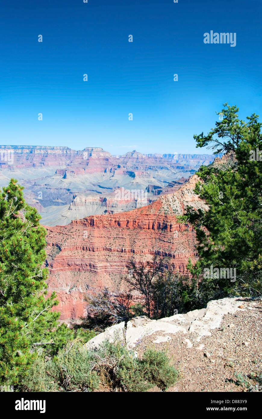 South Rim of Grand Canyon in Arizona Stock Photo - Alamy