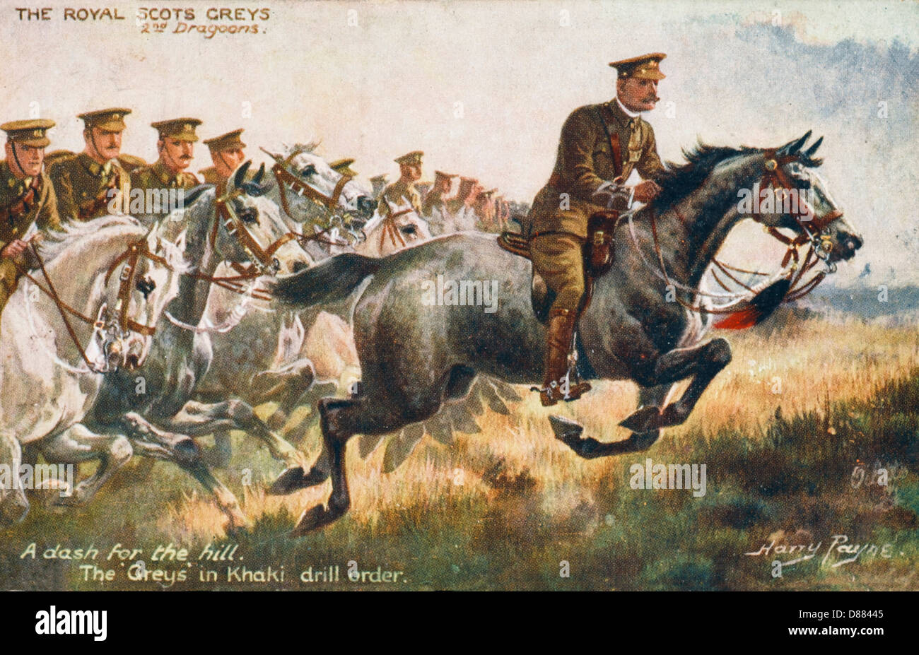 Royal scots greys hi-res stock photography and images - Alamy