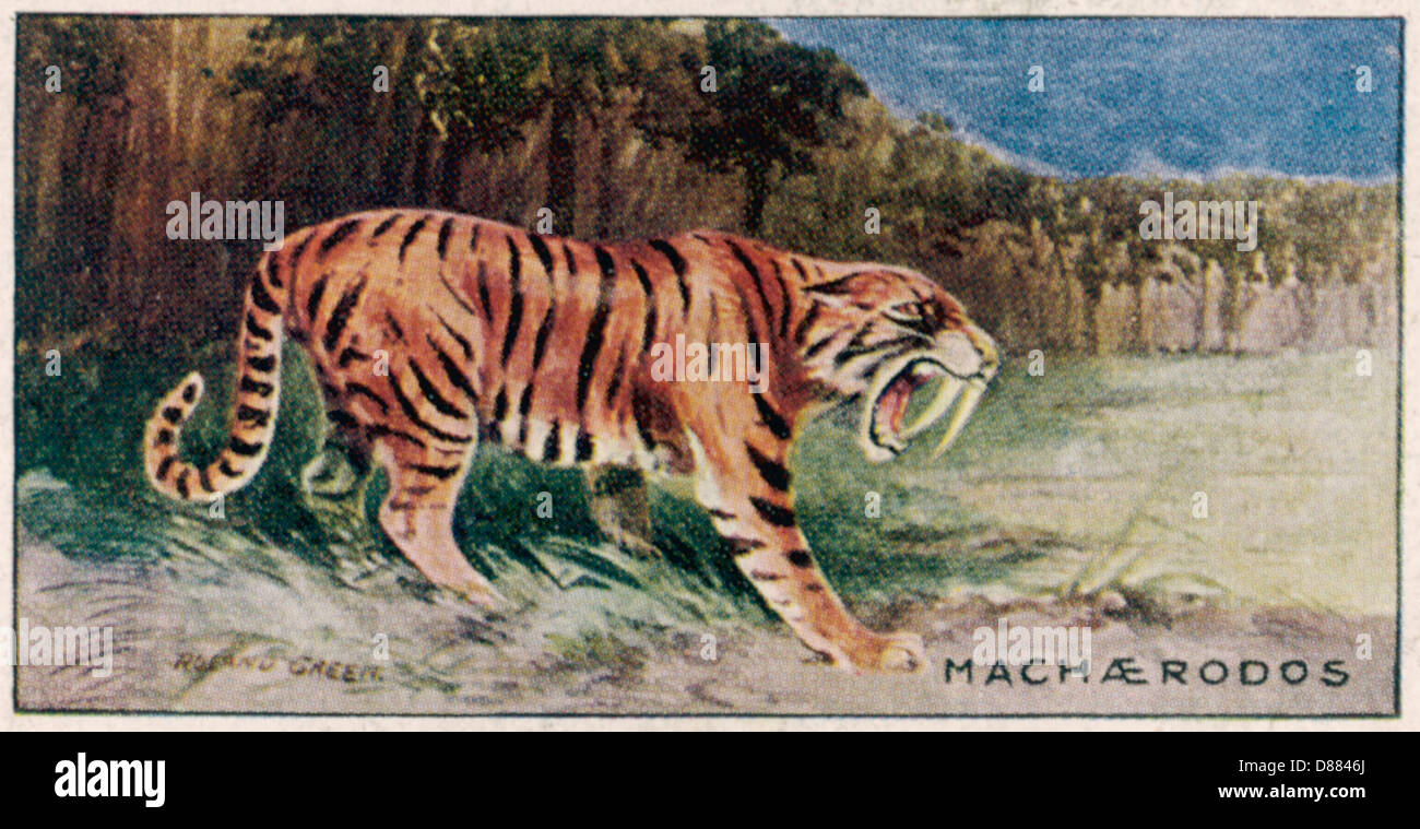 Extinct animals hi-res stock photography and images - Alamy