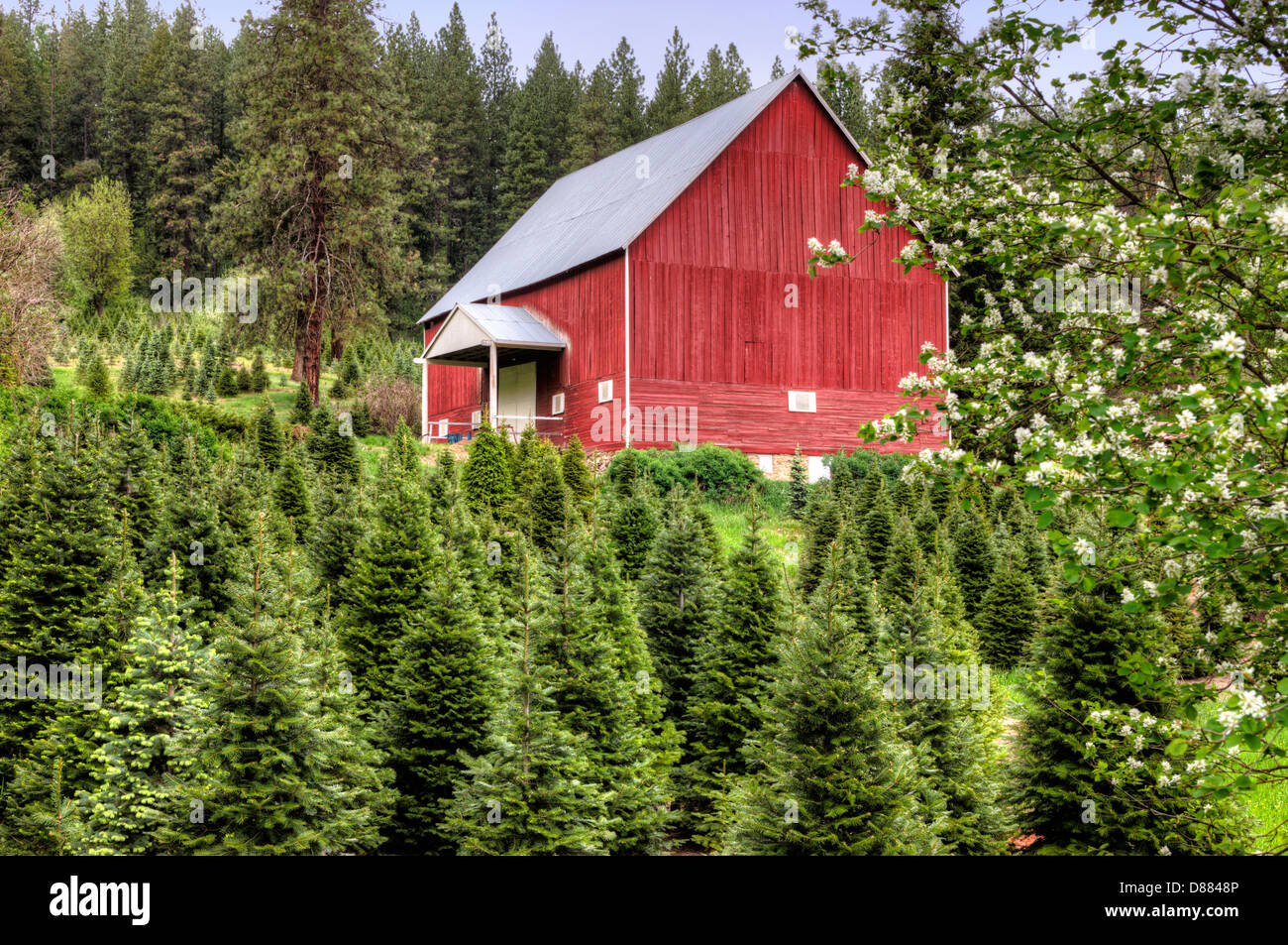 Red barn and green trees Stock Photo - Alamy