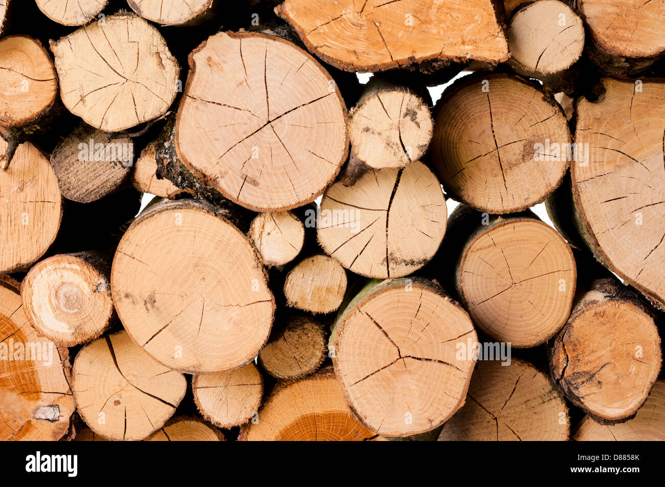 Bunch of cuted tree in full frame Stock Photo - Alamy