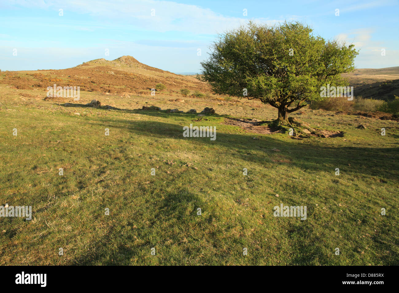 Sharp Tor near Dartmeet, Dartmoor, England, UK Stock Photo - Alamy