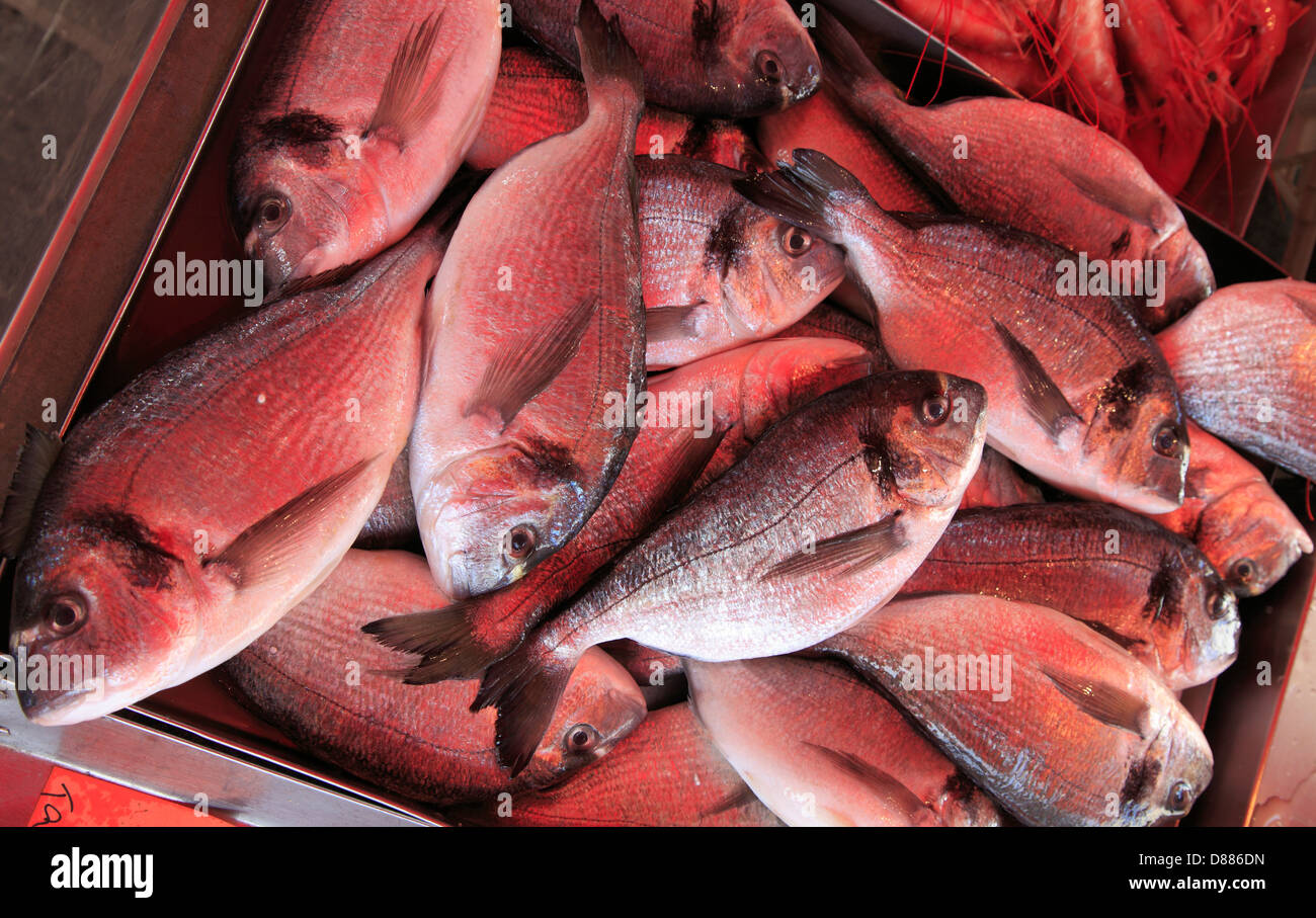 Malta, Marsaxlokk, fish market, fish Stock Photo - Alamy