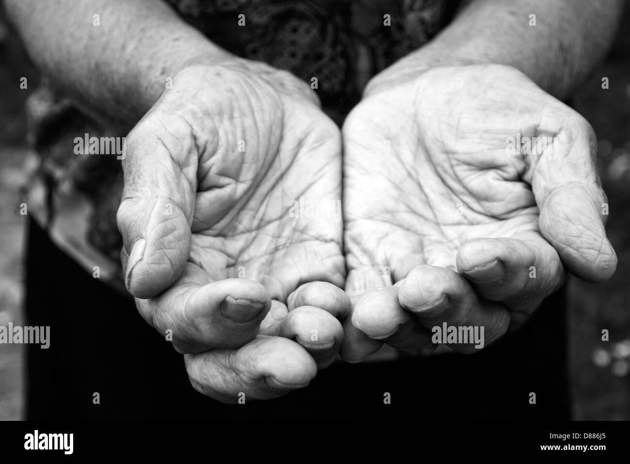 Cupped Hands Black And White