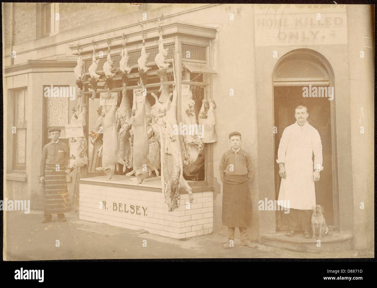 Belsey hi-res stock photography and images - Alamy