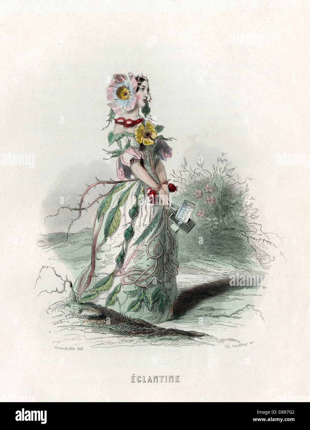 Rosa designs hi-res stock photography and images - Alamy