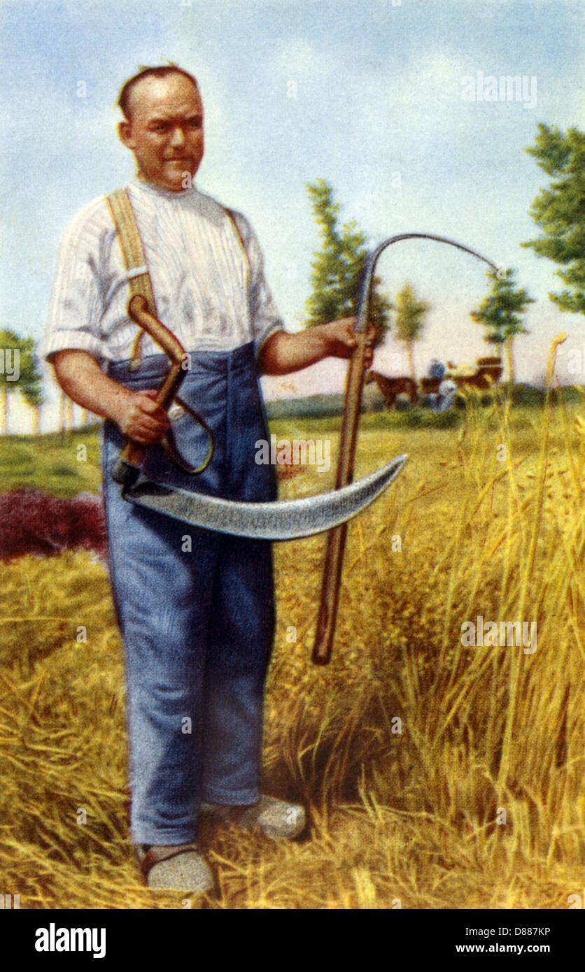 Belgian farmer Jan-Baptist Meuleman with sickles Stock Photo - Alamy