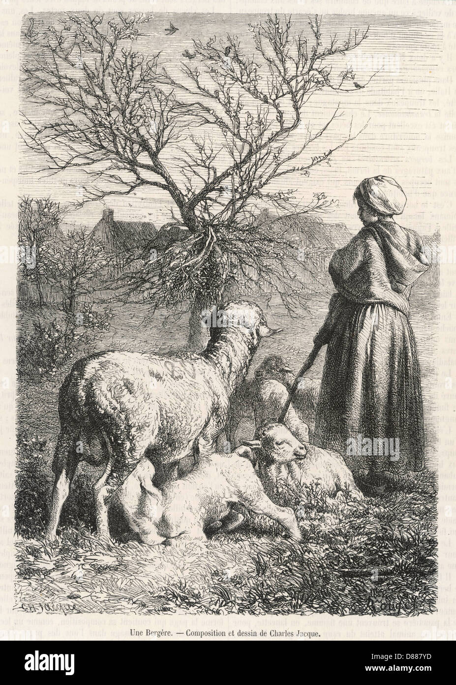 Shepherdess hi-res stock photography and images - Alamy