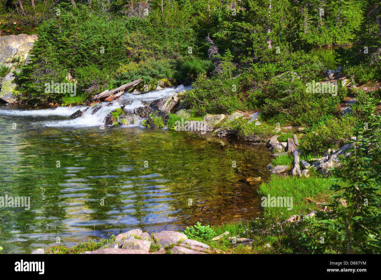 Small waterfall amid alpine greenery at outlet near Alice Lake in ...