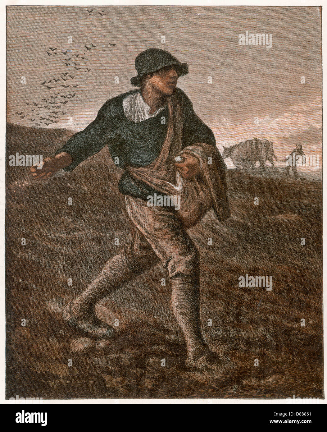 The Sower 1885 Stock Photo - Alamy
