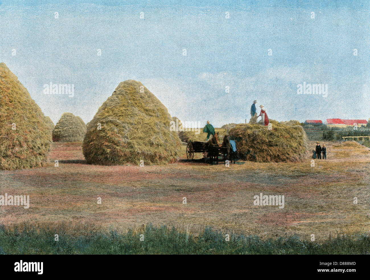 WHEAT HARVEST CANADA Stock Photo - Alamy